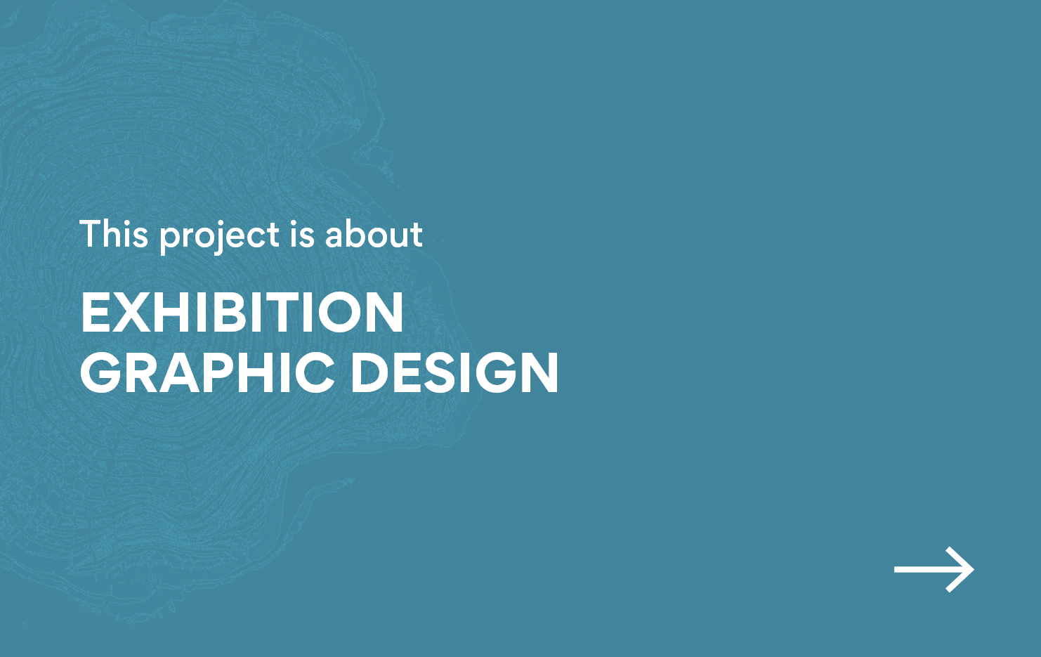 Portfolio Visual design - Tania Eleonora Ciurca